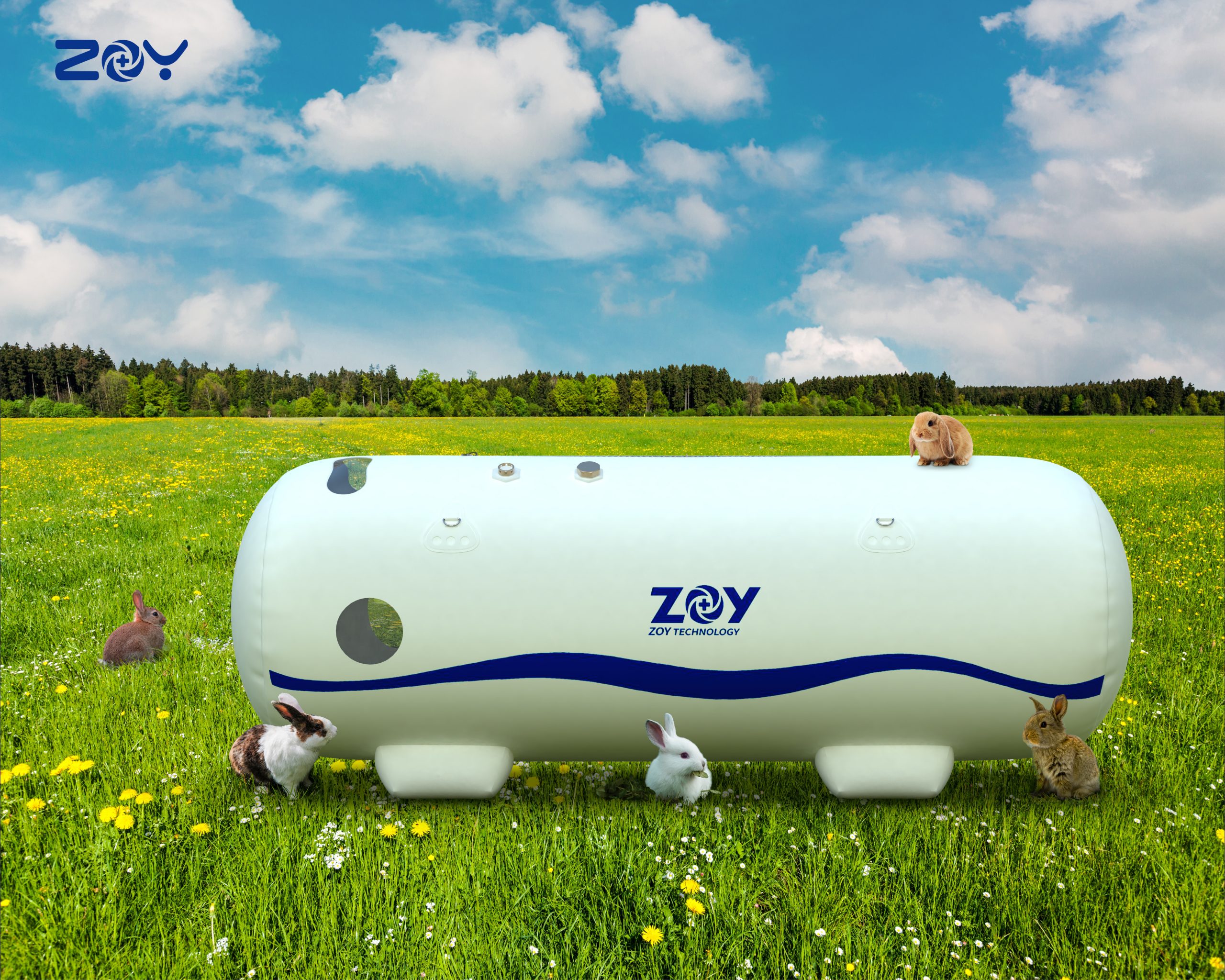 The Effects of a Hyperbaric Oxygen Environment on Brain Function and ...